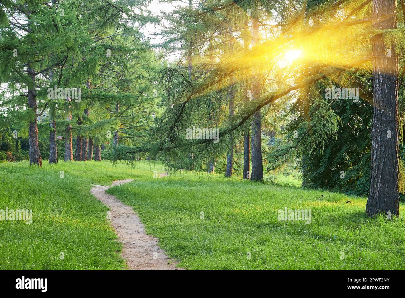 Ecologically clean place hi-res stock photography and images - Alamy