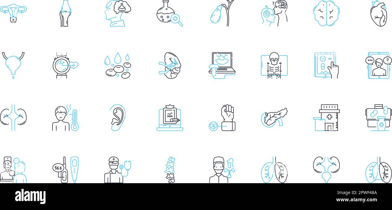Household wellbeing linear icons set. Cleanliness, Organization ...
