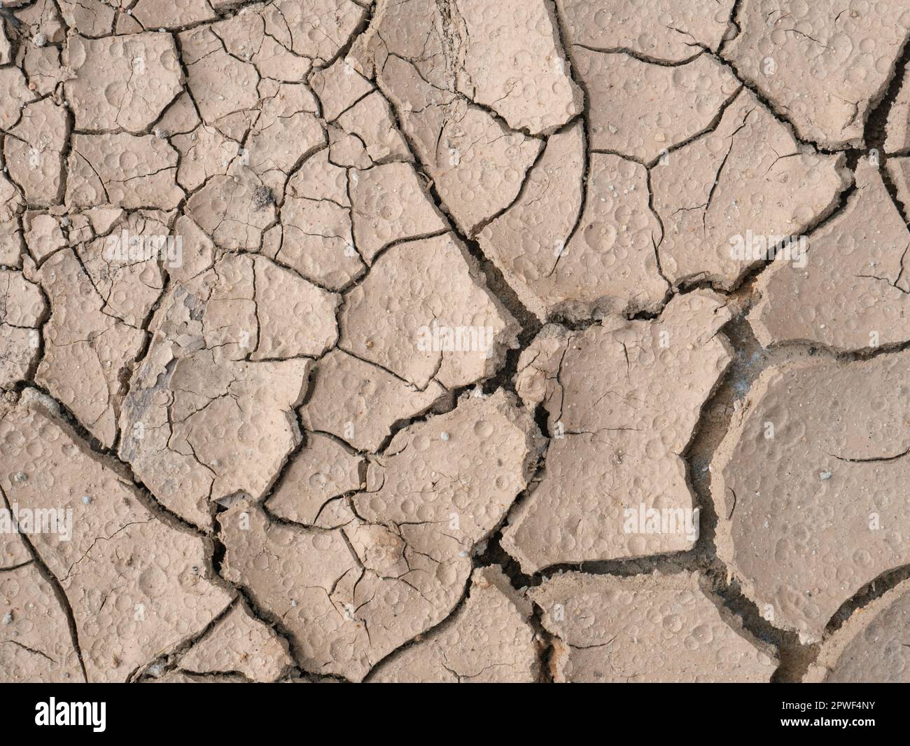 Environmental disaster. Drought. Global climate change and waterless ...