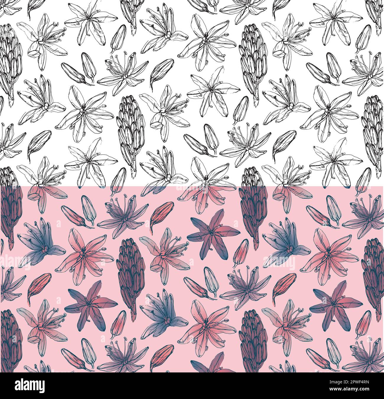Pack of vectorized patterns of black line flowers on white background ... Pack of vectorized patterns of black line flowers on white background ...