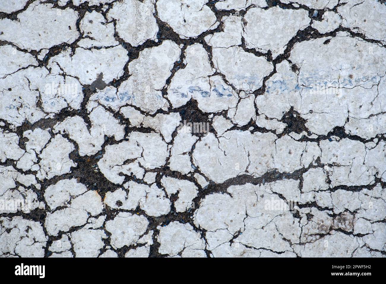Textured surface of a cracked white pedestrian crosswalk marking. High ...