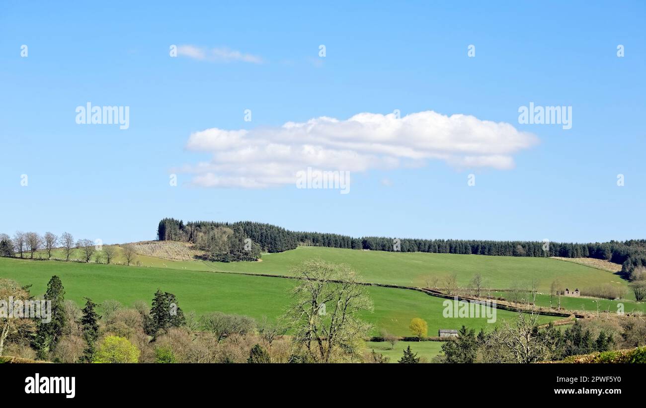 Springtime View over Scottish farmland meadows with a blue sky ...