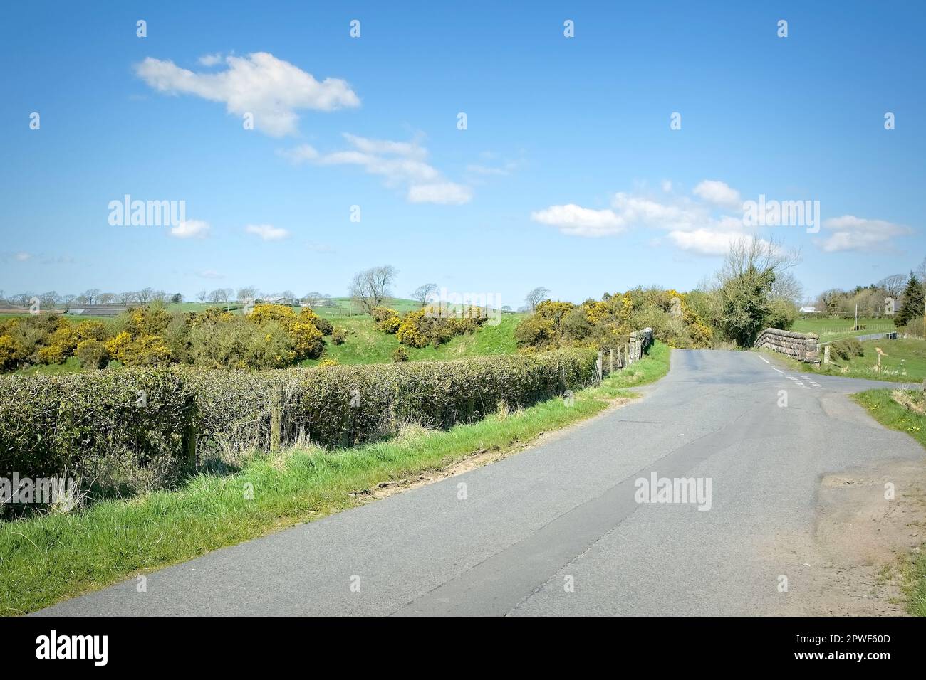 View down a Scottish country road with old stone bridge Stock Photo - Alamy