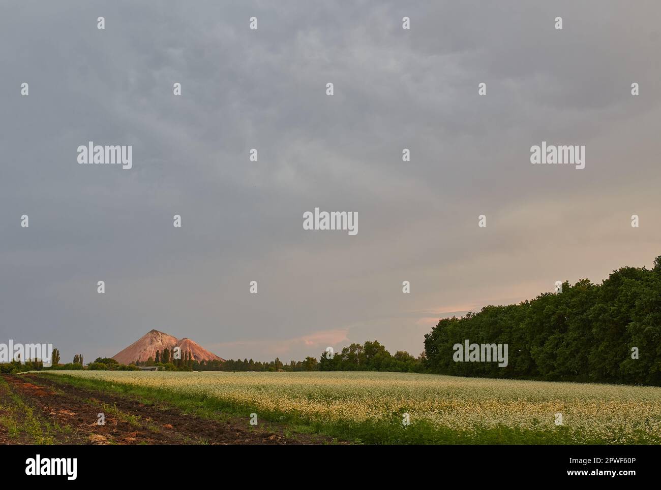 Oil shale ash heap , dangerous toxic waste outdoors near the city ...