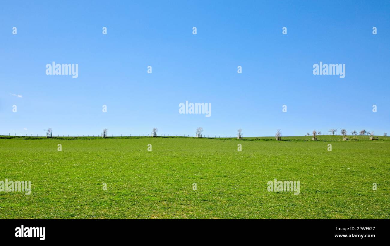 Line of young trees protected by wooden fence pens growing on a ...
