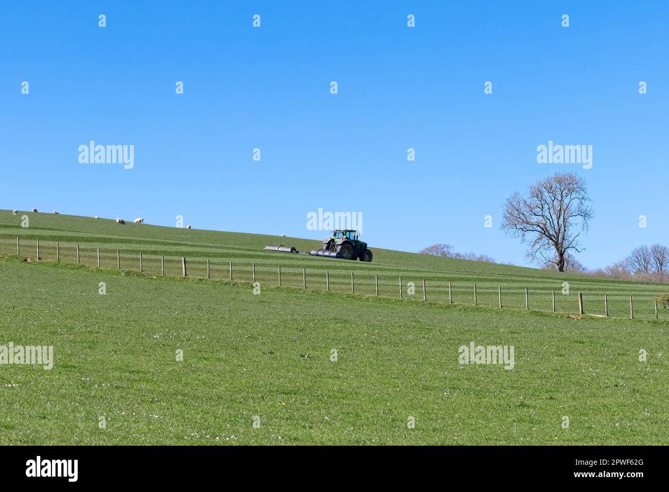 Springtime View over Scottish farmland with a tractor rolling grass ...