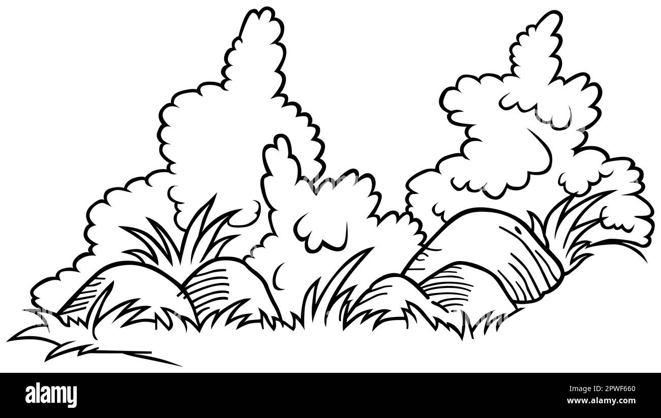 Bush Plant Clip Art Black And White