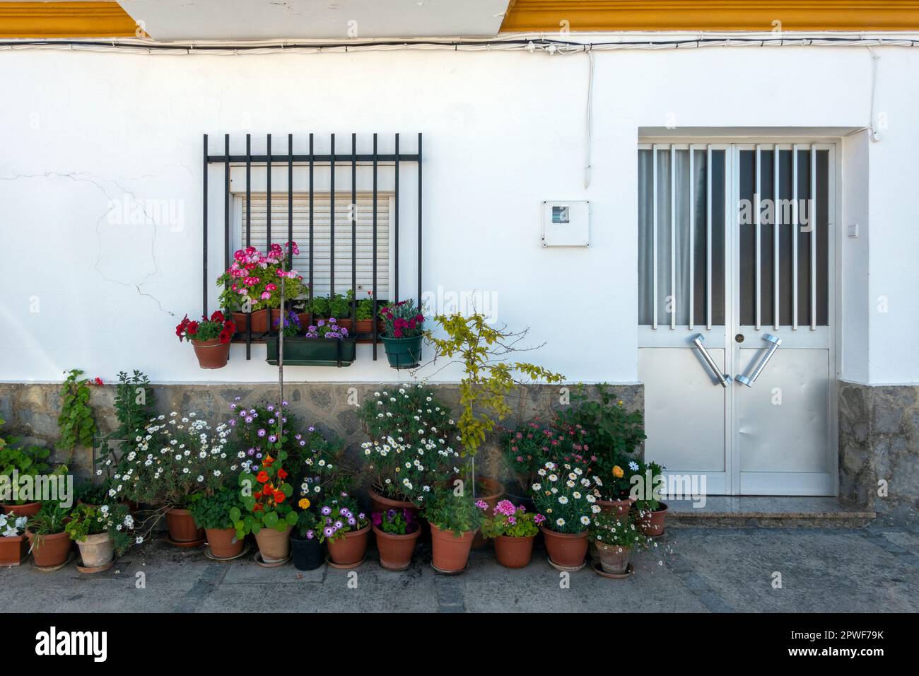 Facade of a house decorated in the Andalusian style with many pots with ...