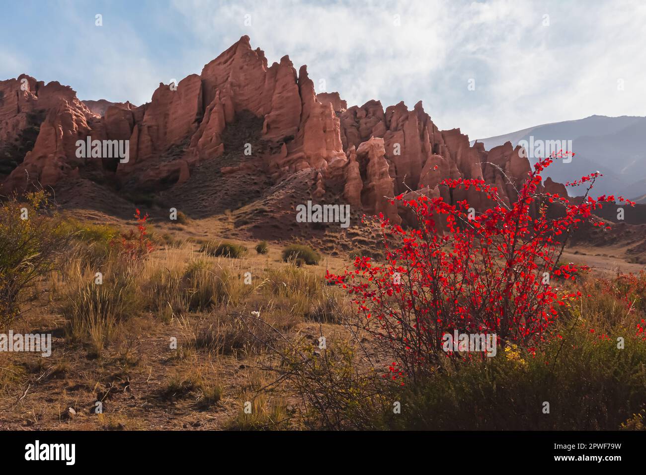 Rugged landscape terrain and jagged rock formations of the Assy Plateau ...