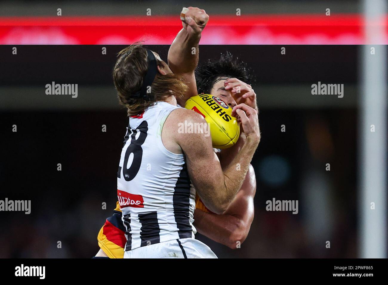 Nathan Murphy of the Magpies clashes with Darcy Fogarty of the Crows ...