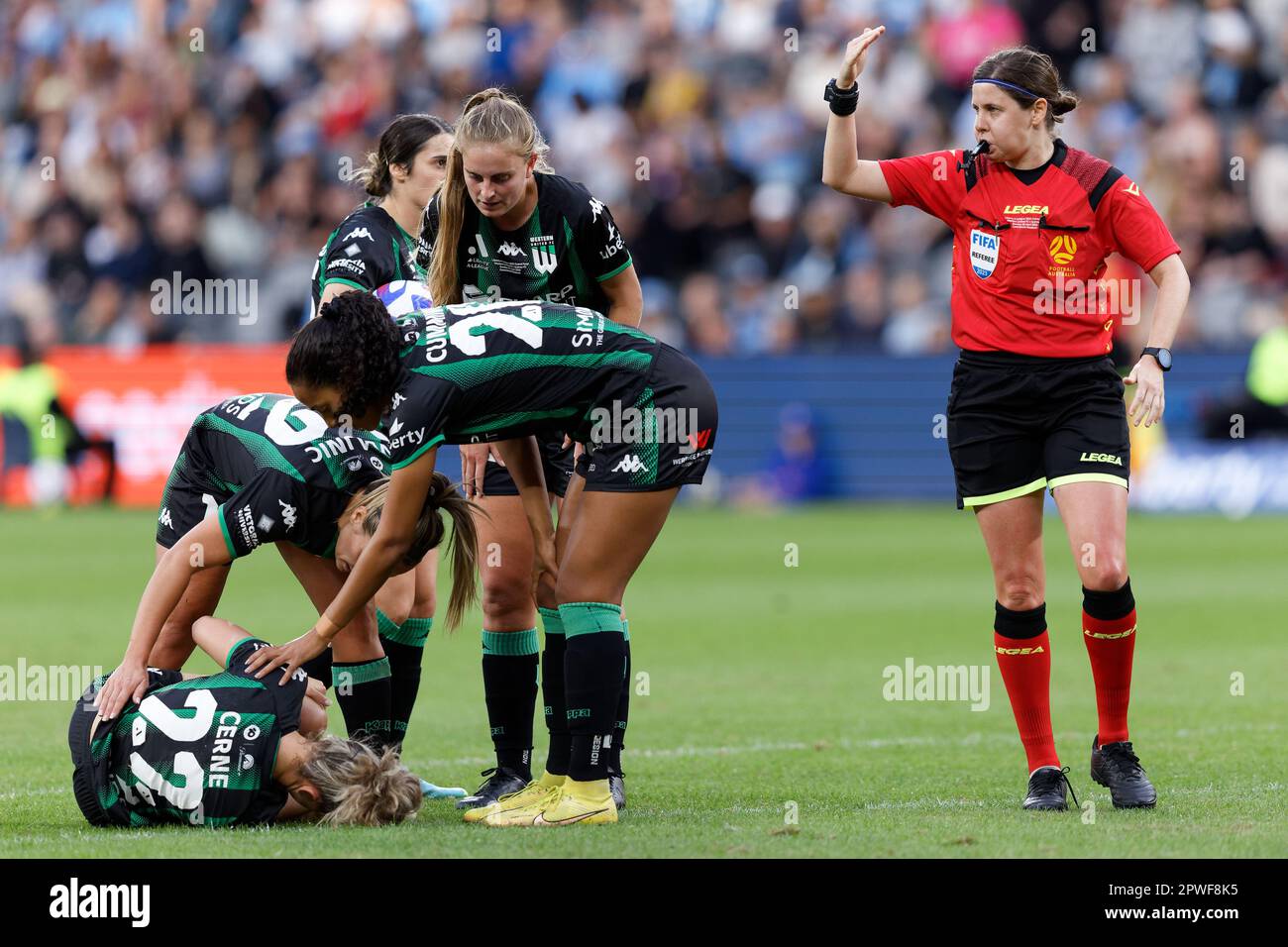 Sydney, Australia. 30th Apr, 2023. Referee, Casey Reibelt stops play as ...