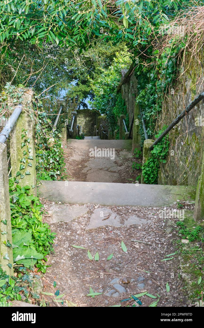 The Radical Steps beside the River Lune at Kirkby Lonsdale, Cumbria ...