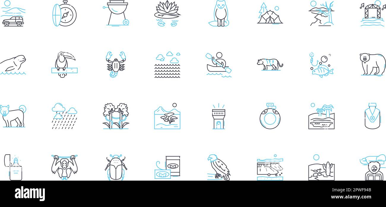 Forest linear icons set. Sylva, Arboretum, Canopy, Flora, Fauna ...