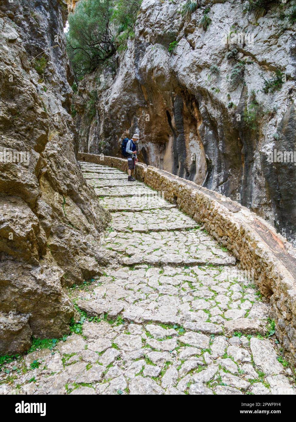 Walking the cobbled path through the dramatic gorge of Barranc de ...