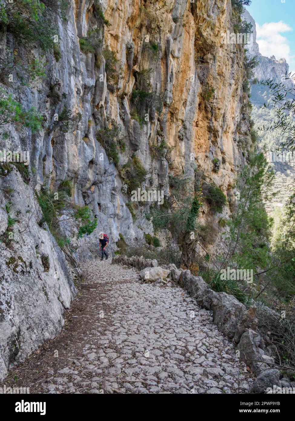 Walking the cobbled path through the dramatic gorge of Barranc de ...