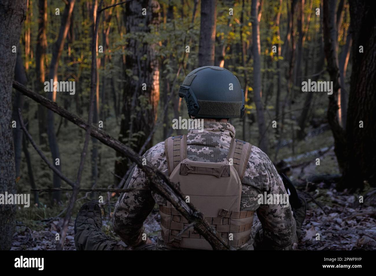 Silhouette of a scout sitting in dense bushes, facing the object of ...