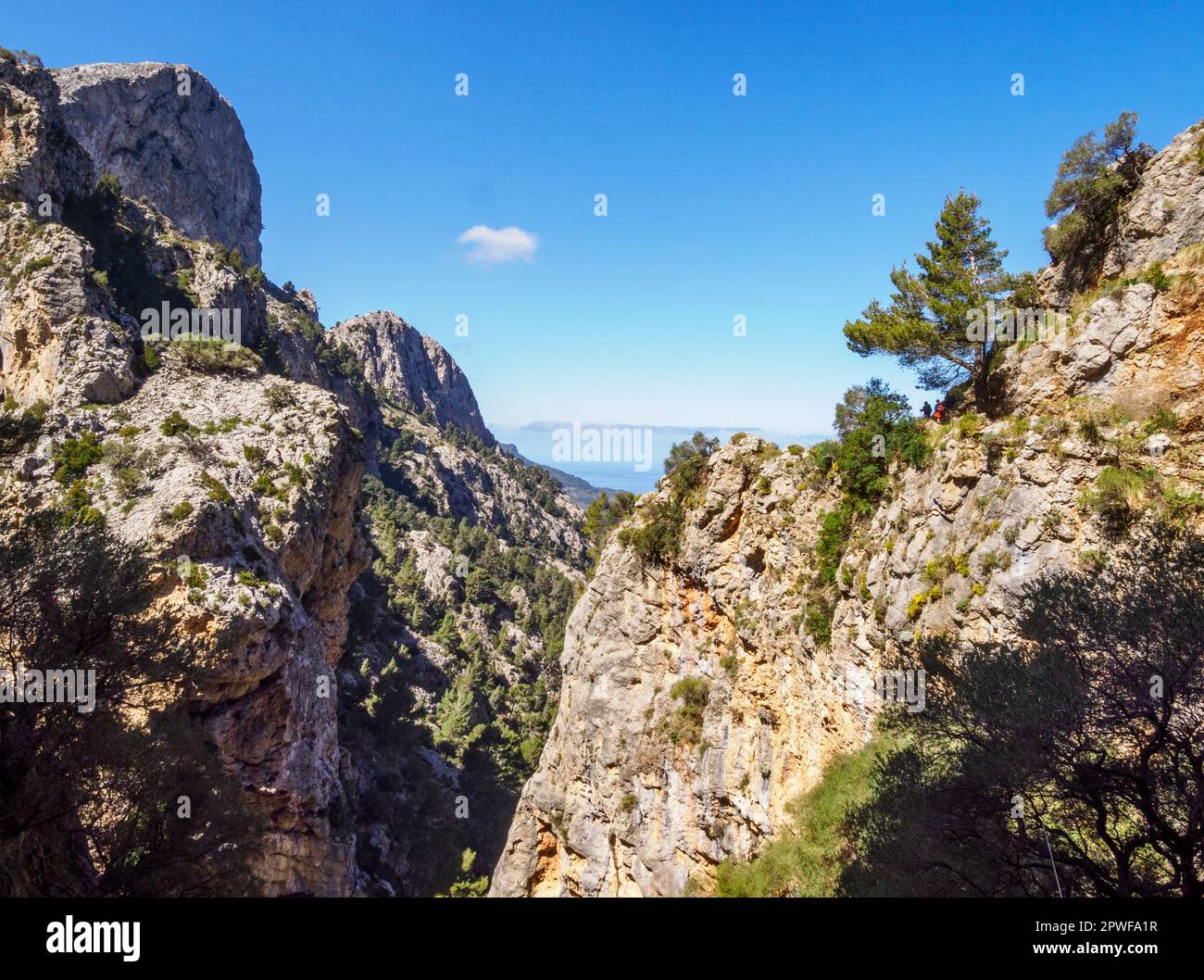 Looking across to walkers above the sheer gorge walls of the Barranc de ...
