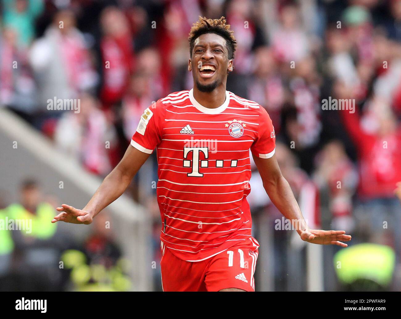 Munich, Deutschland. 30th Apr, 2023. firo : 04/30/2023, football ...