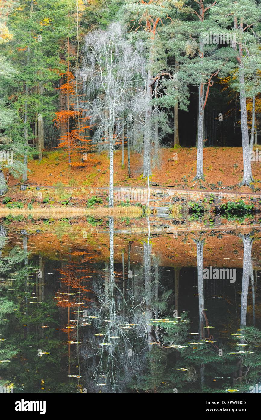 Loch dunmore hi-res stock photography and images - Alamy