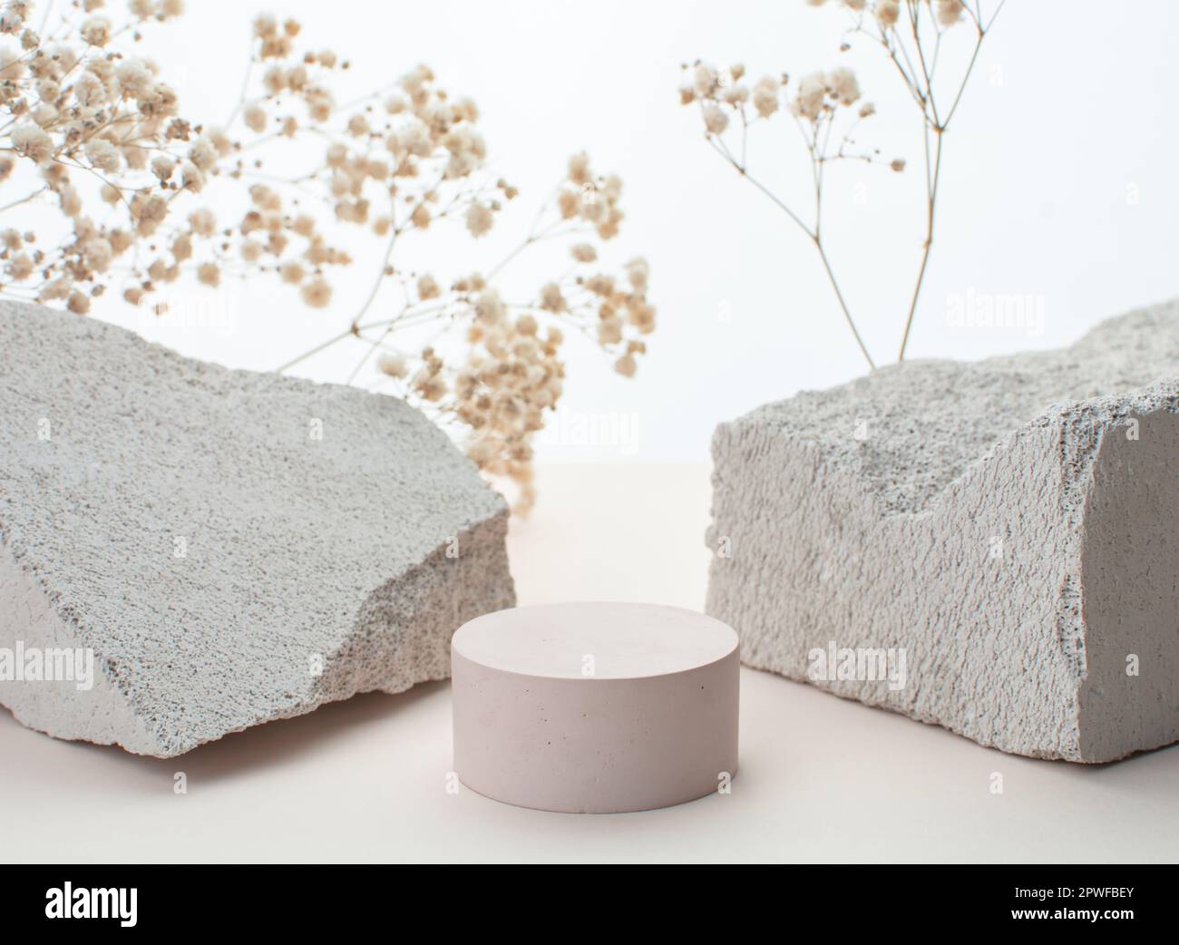 Empty stand for product packaging. Round podium for the presentation of ...