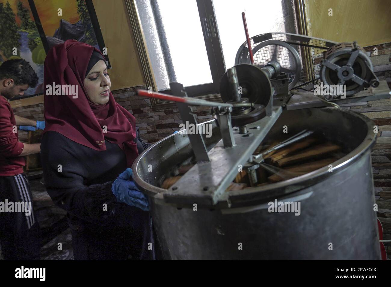 A Palestinian lady works in an apiary collecting honey from beehives ...