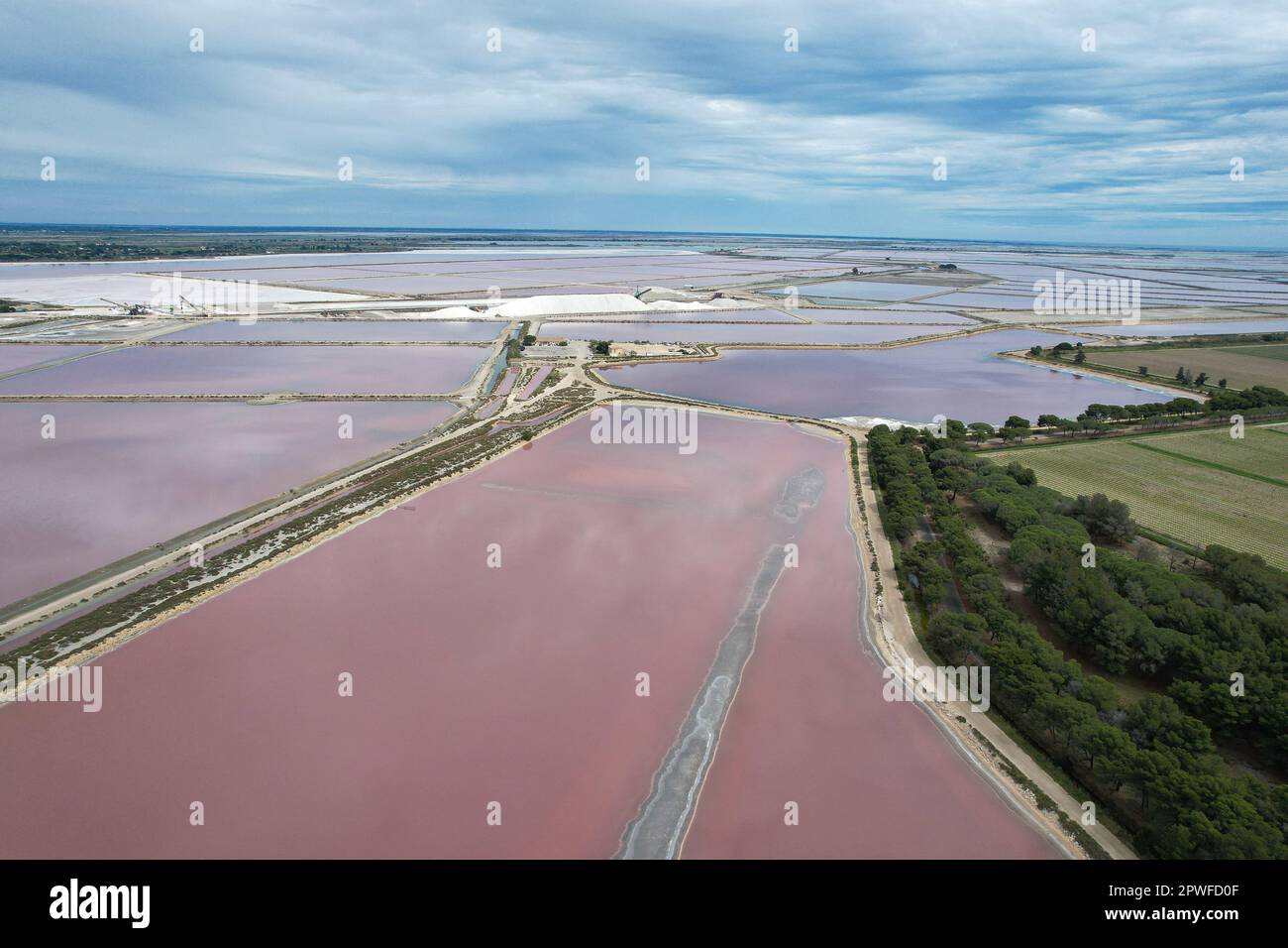 The pink salt of Aigues Mortes: a supernatural landscape in the ...