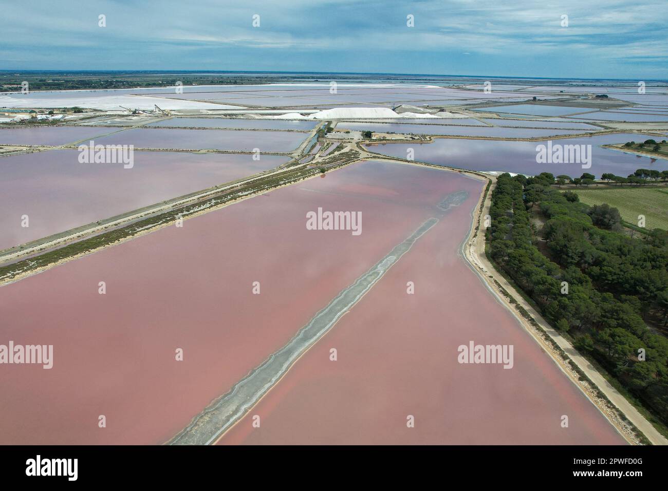 The pink salt of Aigues Mortes: a supernatural landscape in the ...