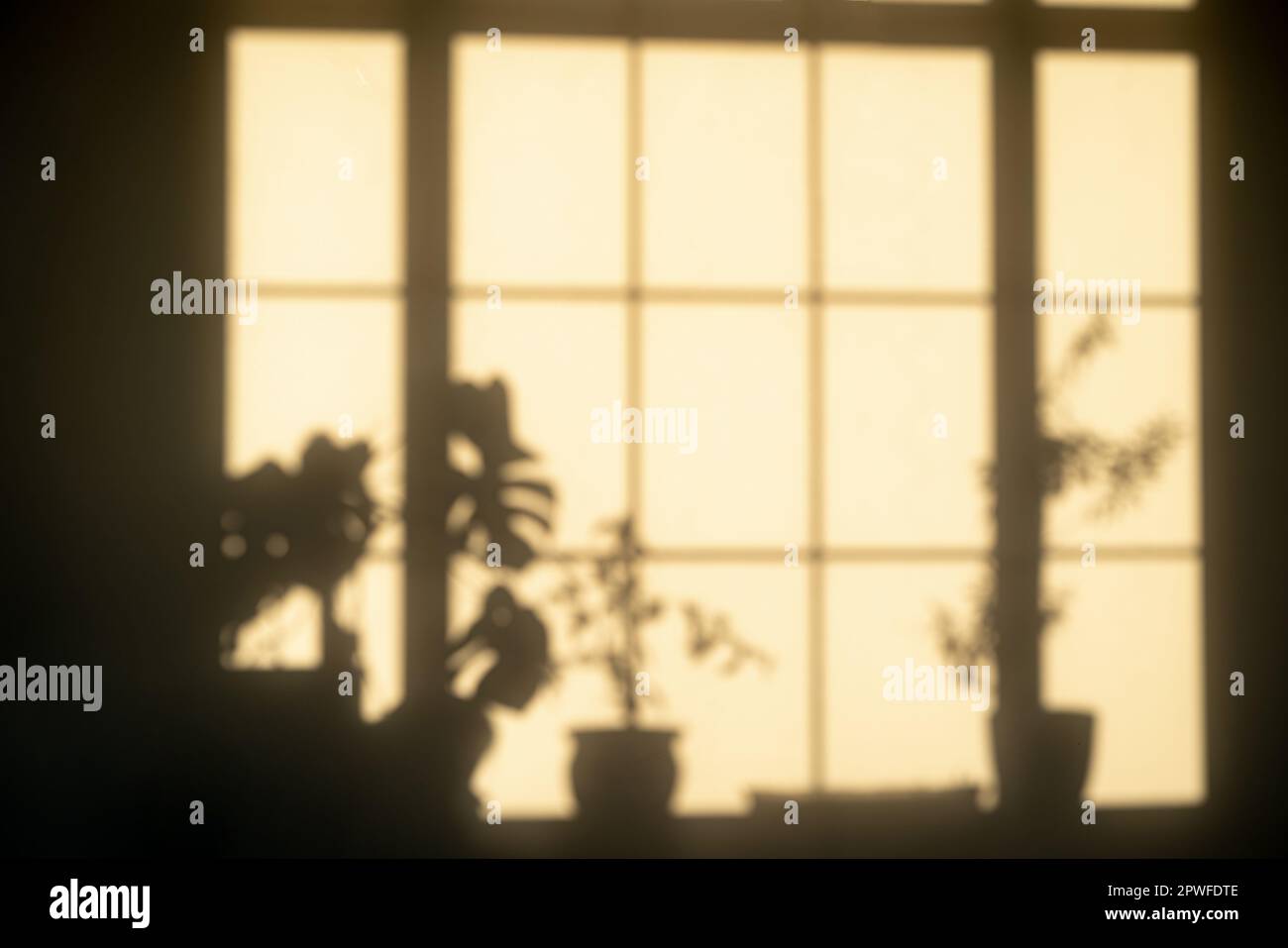 Background with window shadow Stock Photo - Alamy