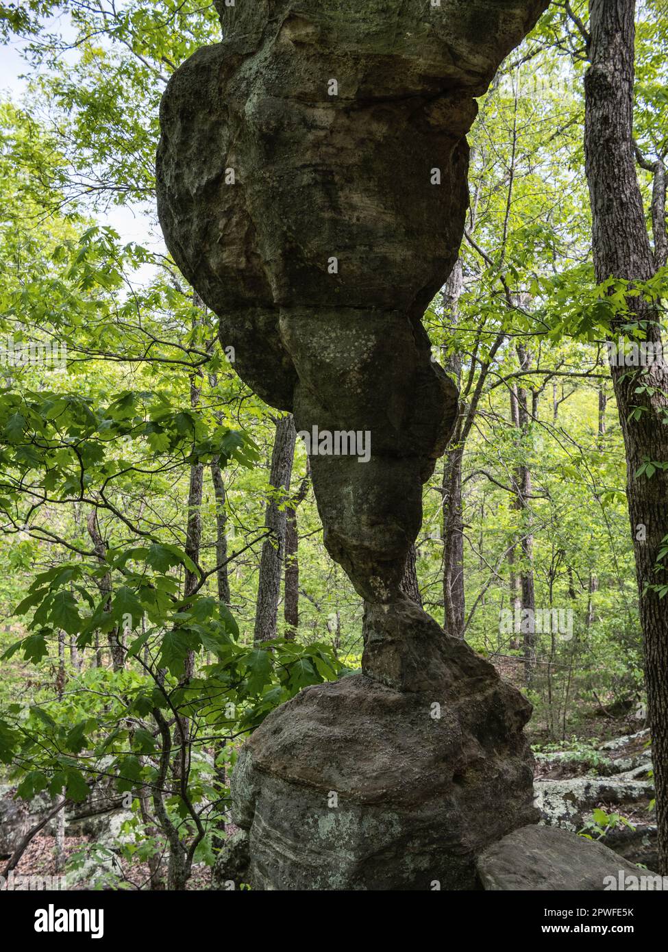 Pickle Springs Natural Area Stock Photo - Alamy