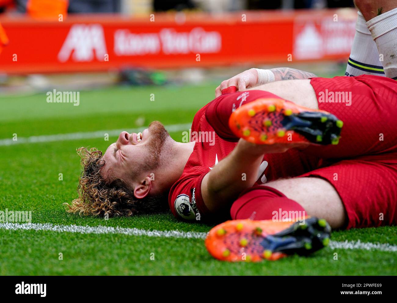 Liverpool's Harvey Elliott lies injured on the pitch during the Premier ...