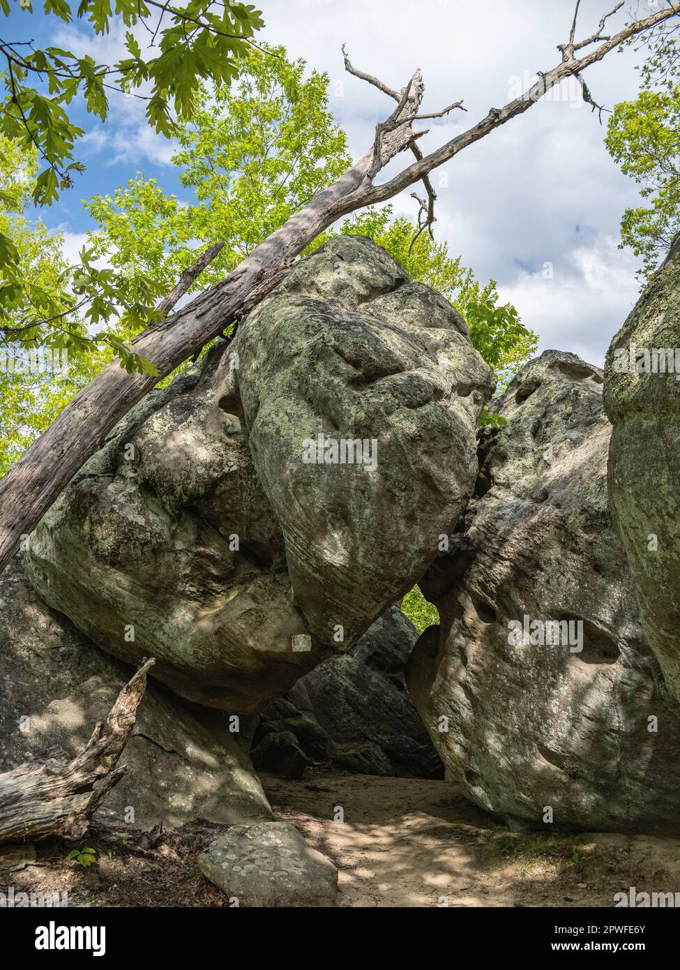 Pickle Springs Natural Area Stock Photo - Alamy