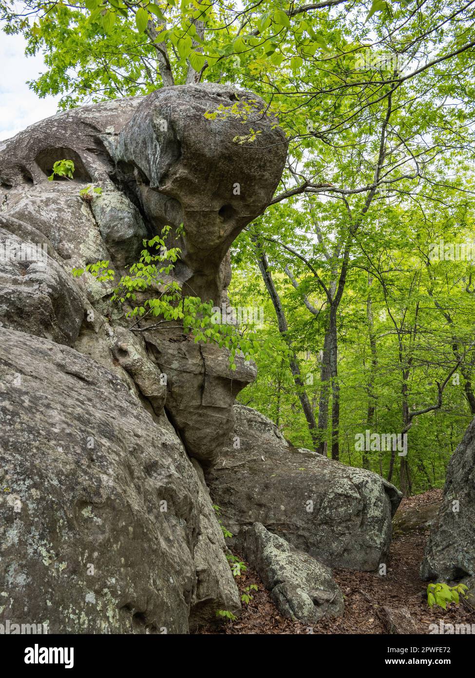 Pickle Springs Natural Area Stock Photo - Alamy