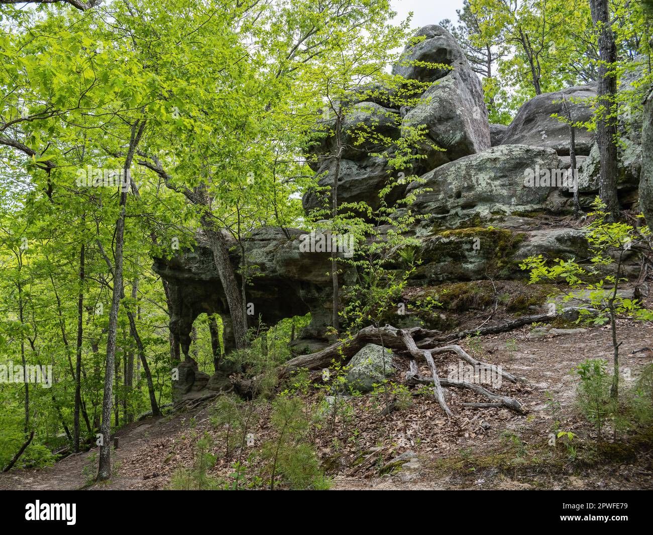 Pickle springs hi-res stock photography and images - Alamy