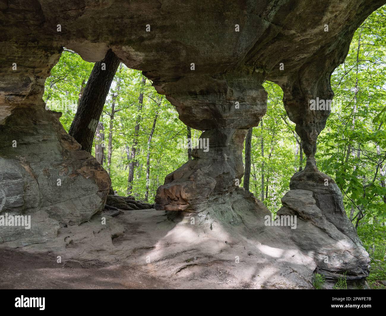 Pickle Springs Natural Area Stock Photo - Alamy