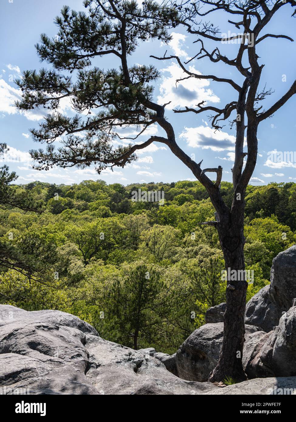 Pickle Springs Natural Area Stock Photo - Alamy