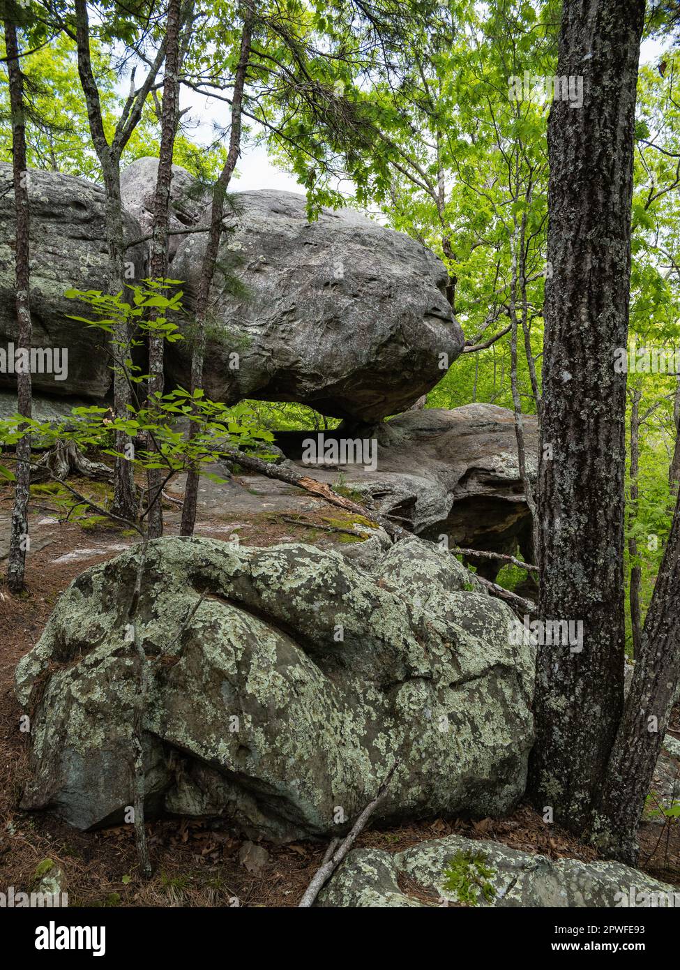 Pickle Springs Natural Area Stock Photo - Alamy