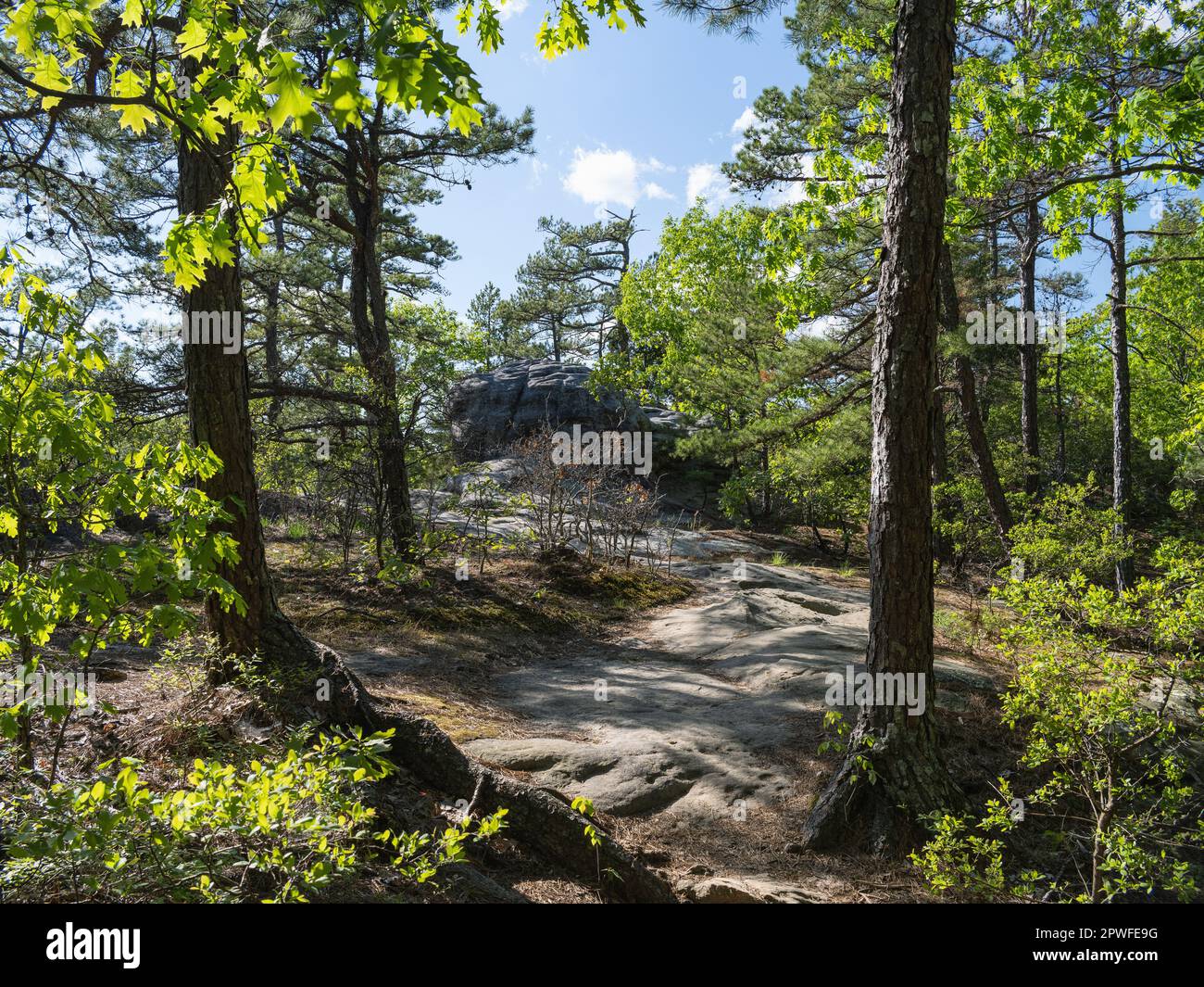Pickle springs hi-res stock photography and images - Alamy