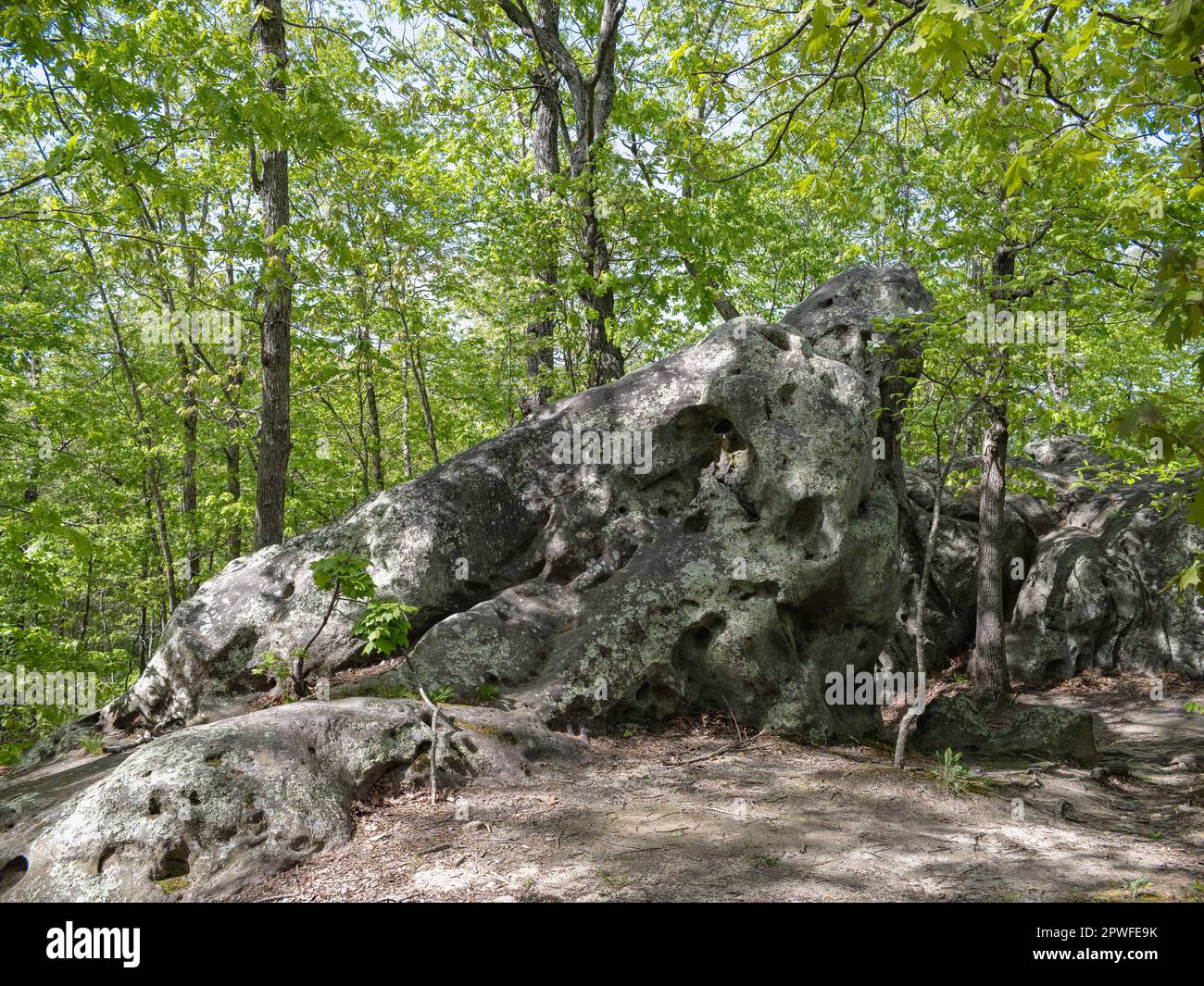 Pickle Springs Natural Area Stock Photo - Alamy
