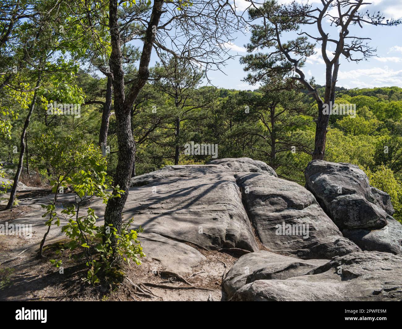 Pickle springs hi-res stock photography and images - Alamy