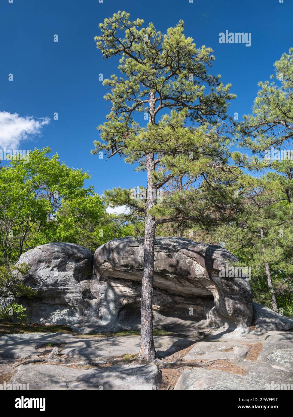 Pickle springs hi-res stock photography and images - Alamy