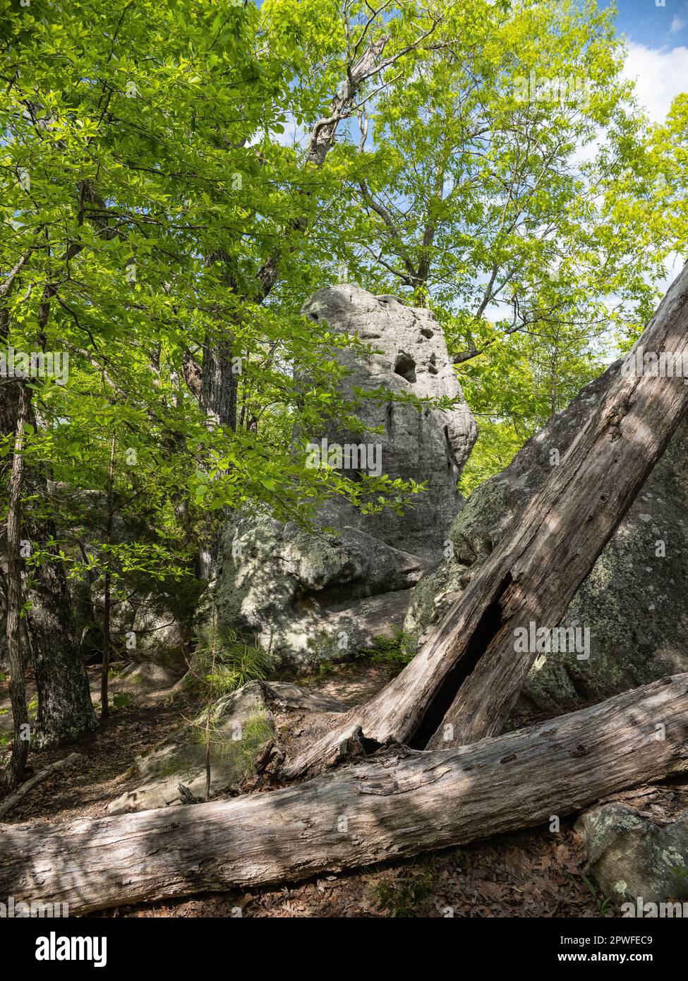 Pickle springs hi-res stock photography and images - Alamy