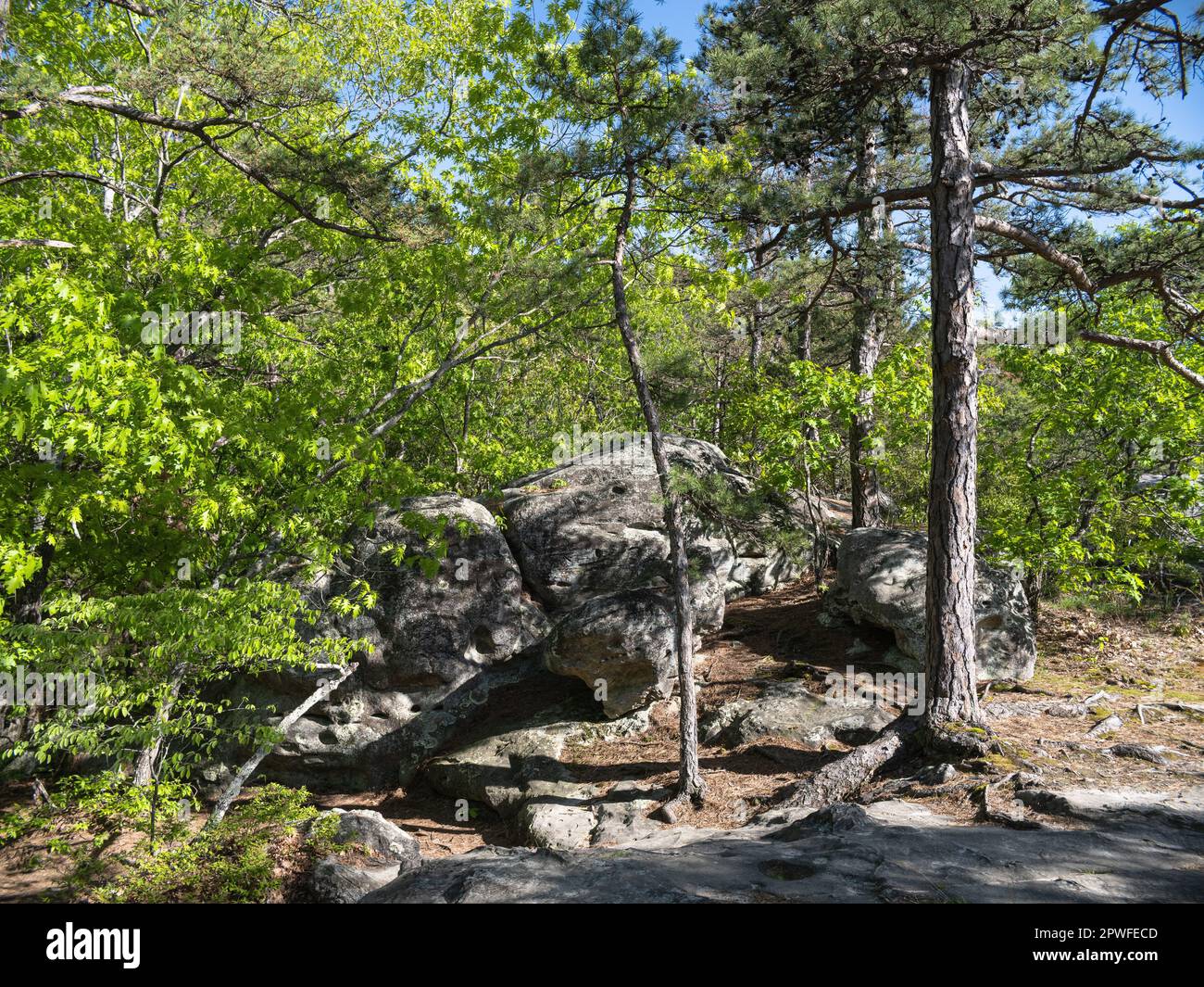 Pickle Springs Natural Area Stock Photo - Alamy