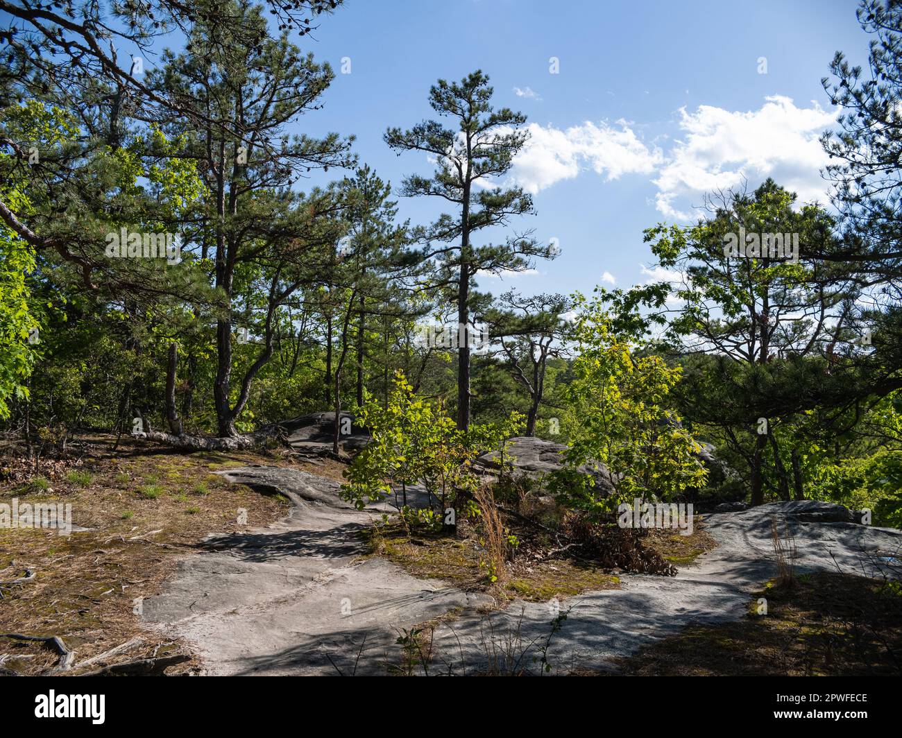 Pickle Springs Natural Area Stock Photo - Alamy