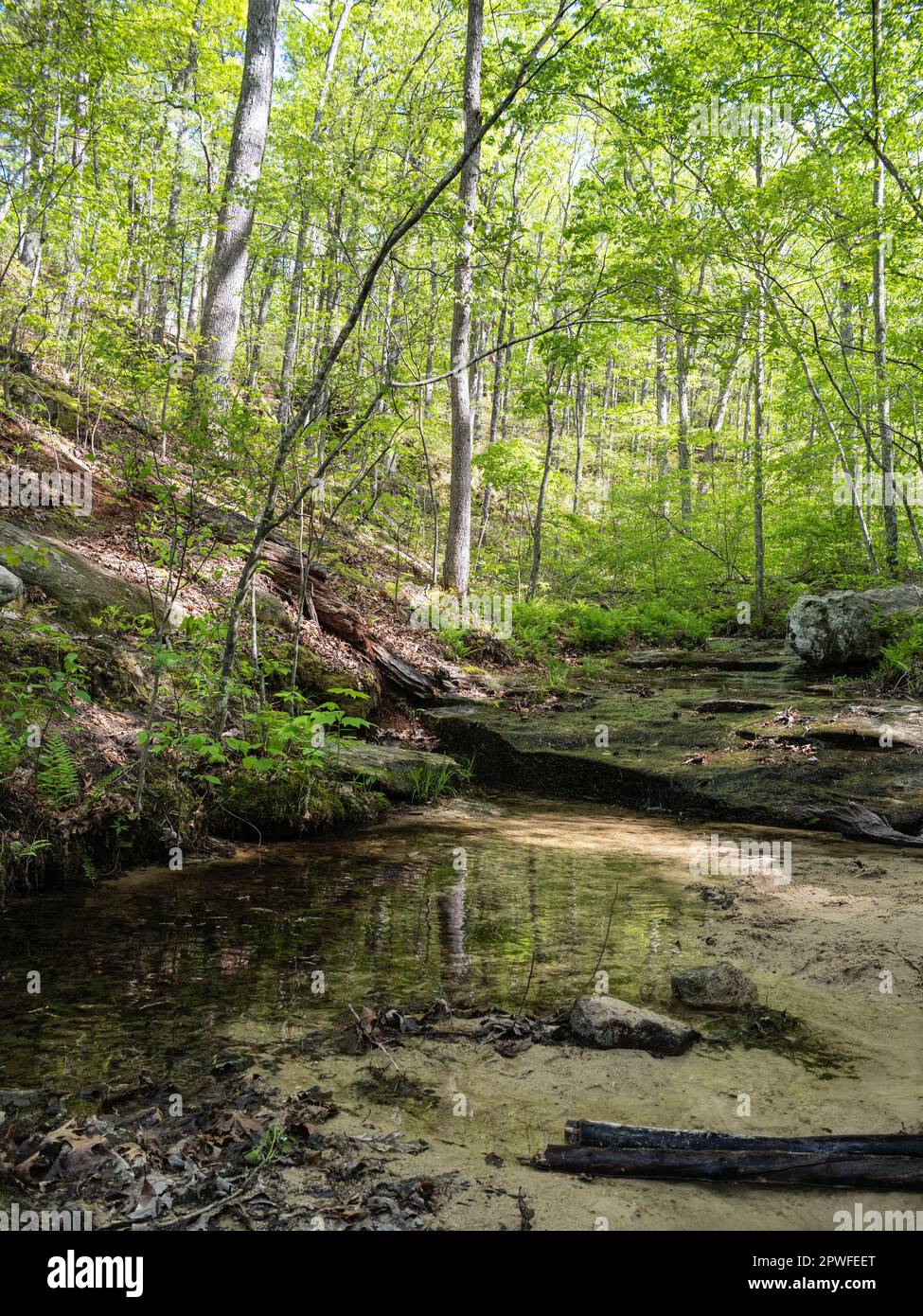 Pickle Springs Natural Area Stock Photo - Alamy