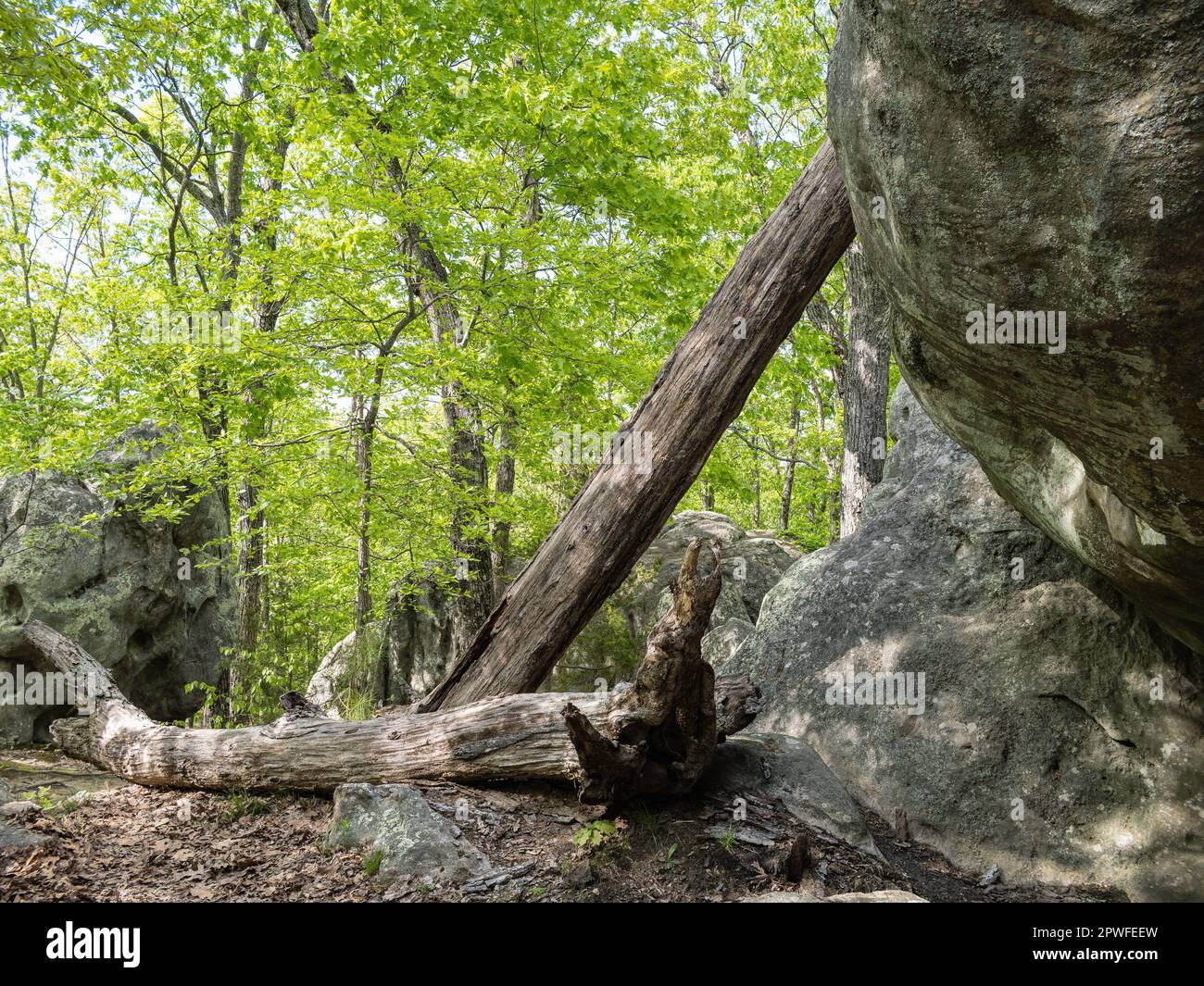 Pickle Springs Natural Area Stock Photo - Alamy