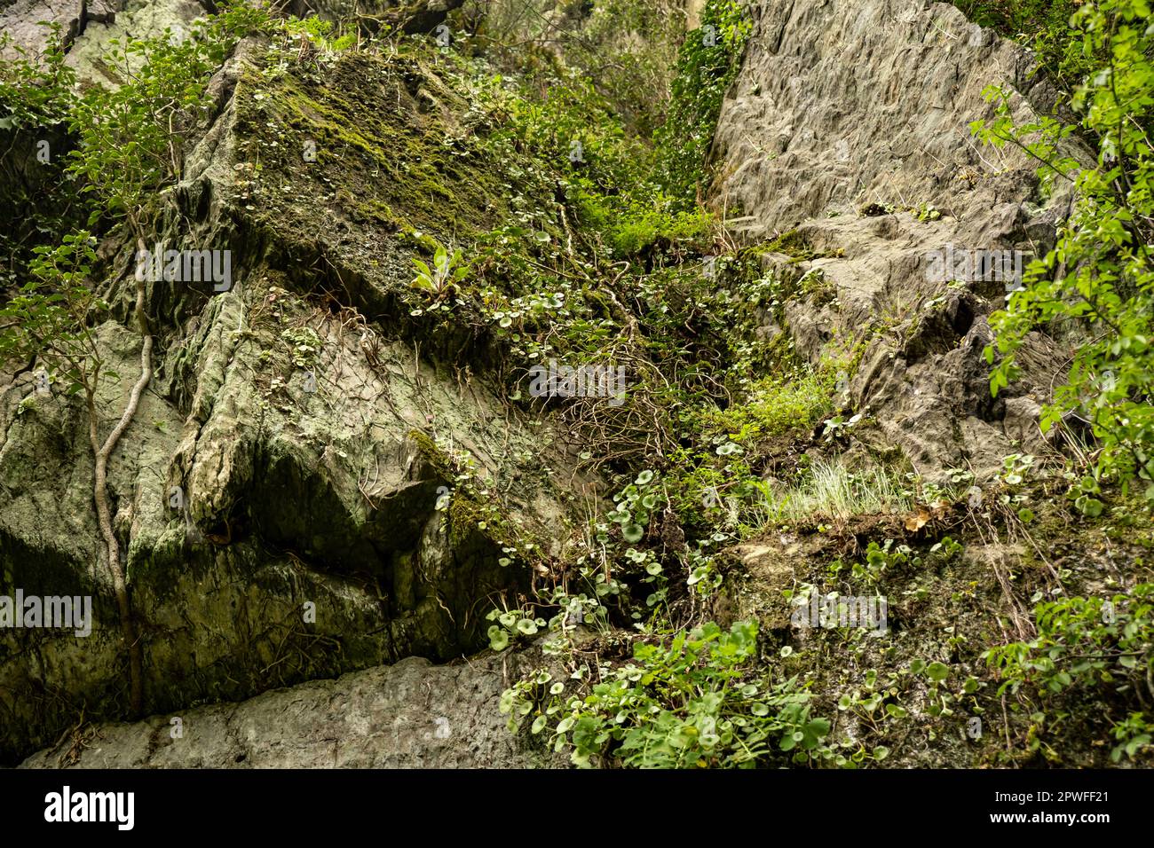 Smooth rock face background hi-res stock photography and images - Alamy