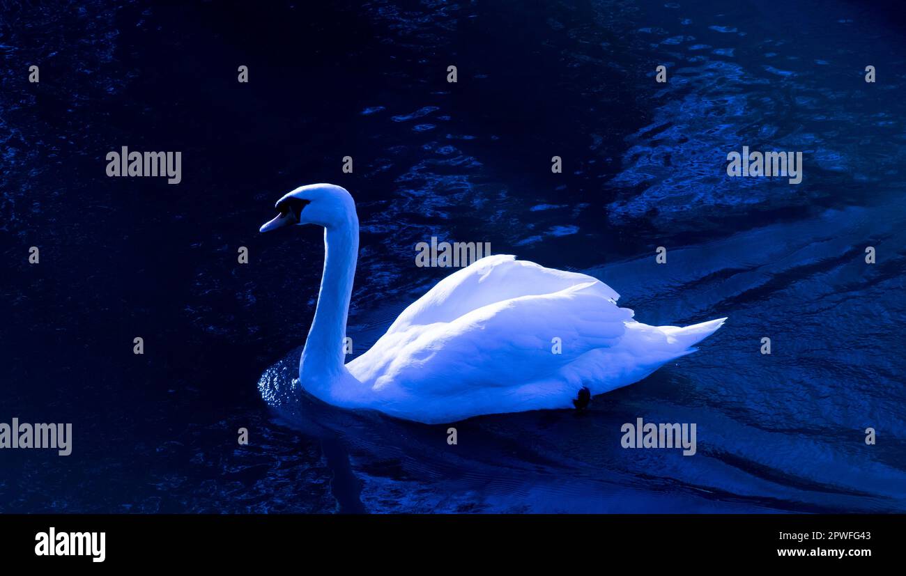 Light blue river hi-res stock photography and images - Alamy