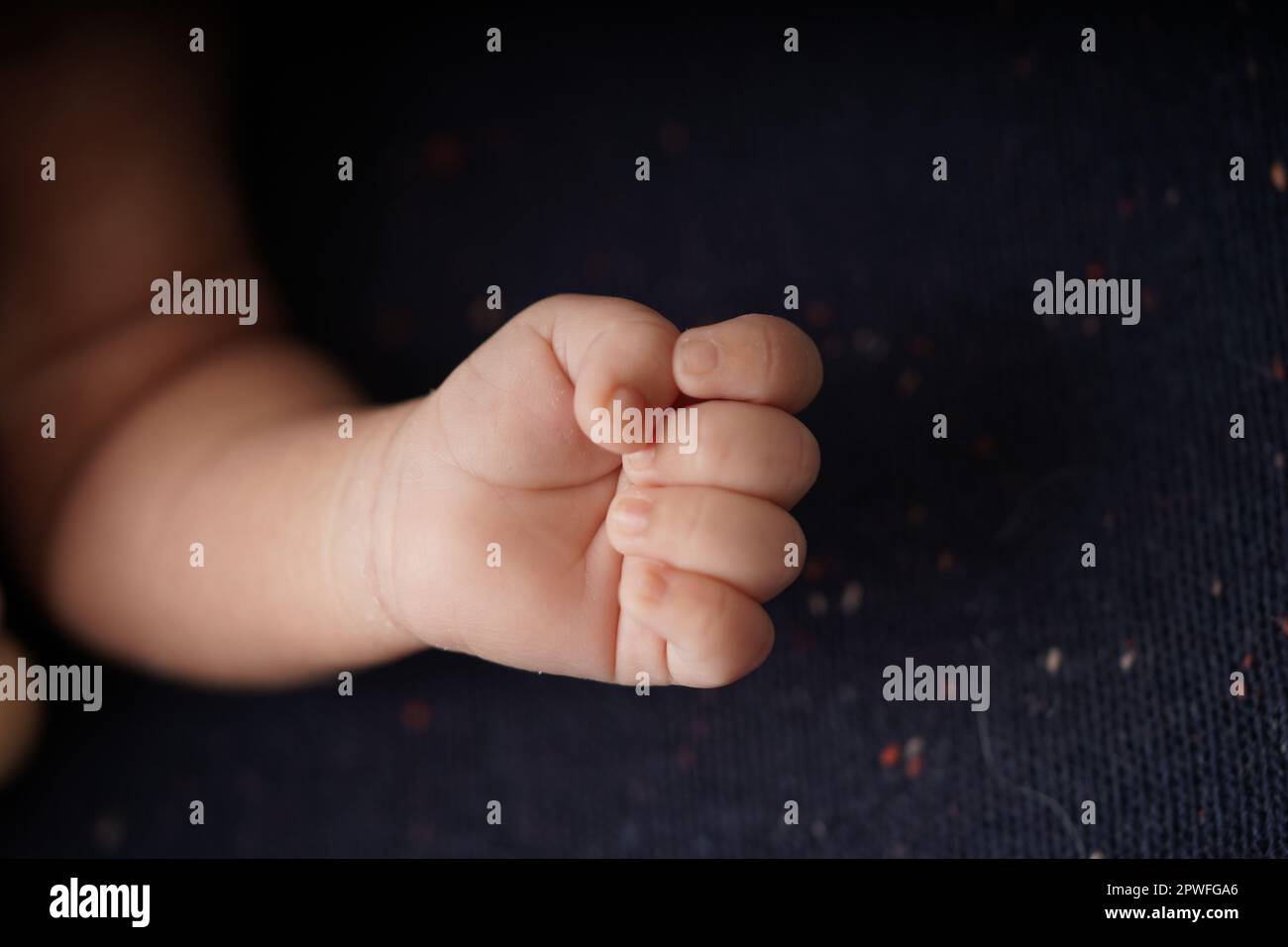 Tiny baby hands on navy blue background blanket. close-up view of the ...