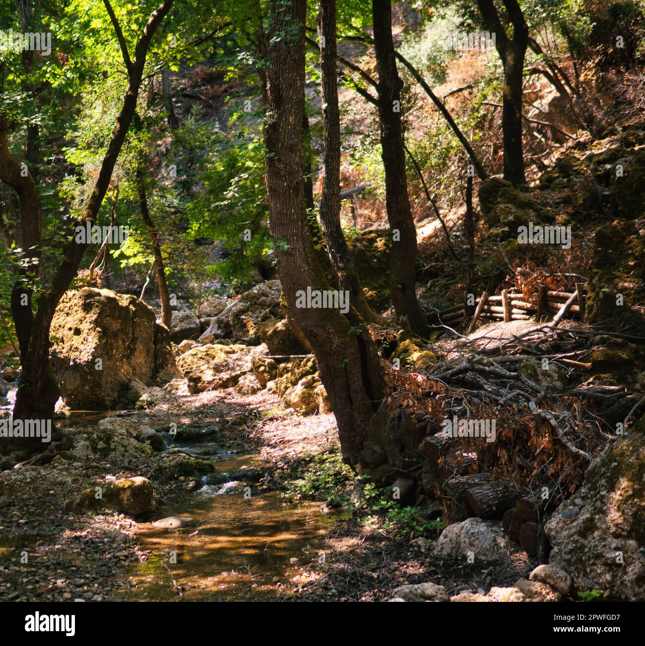 small stream in a valley with trees and large stones on the Rhodes ...