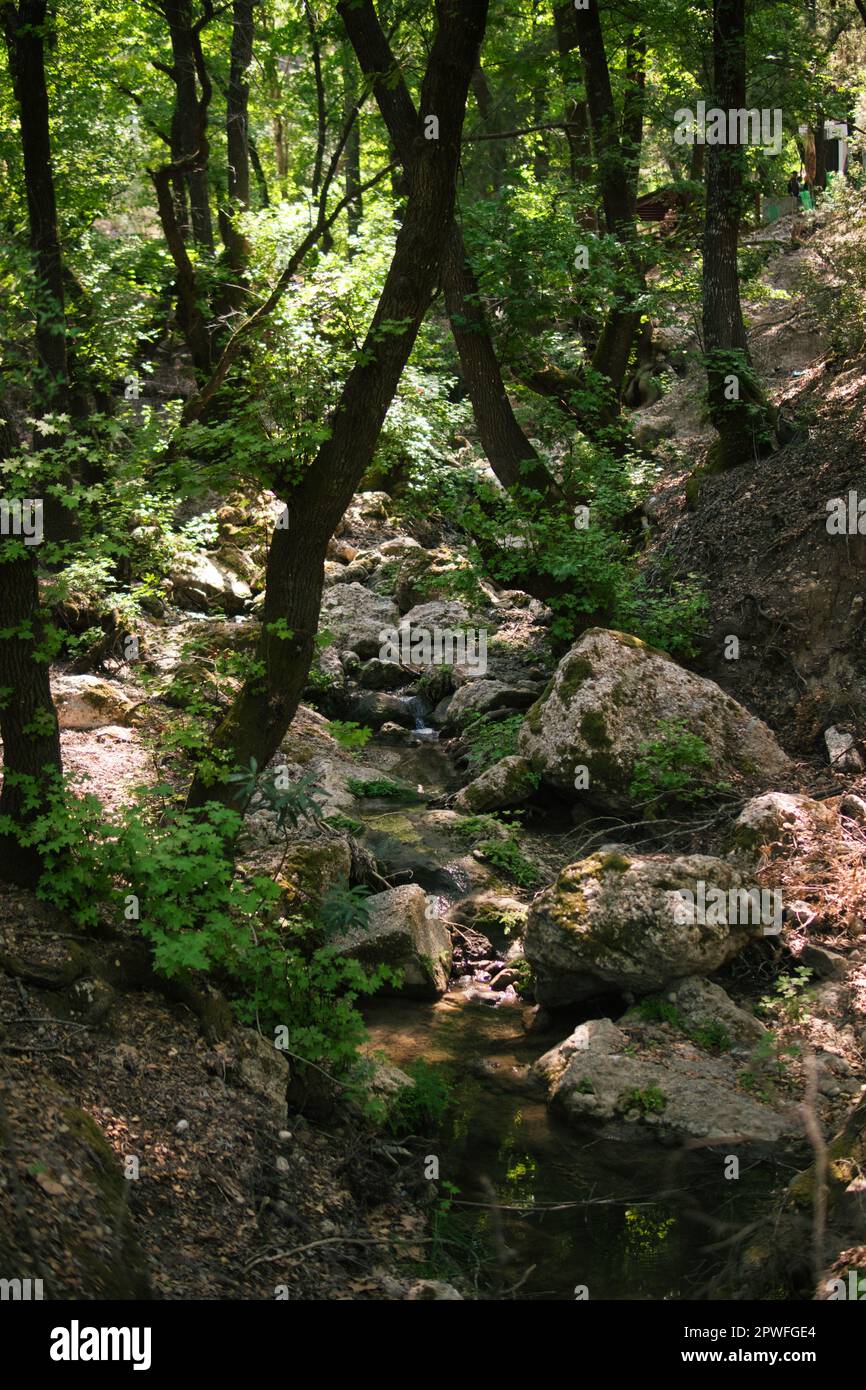 Full natural landscape hi-res stock photography and images - Alamy